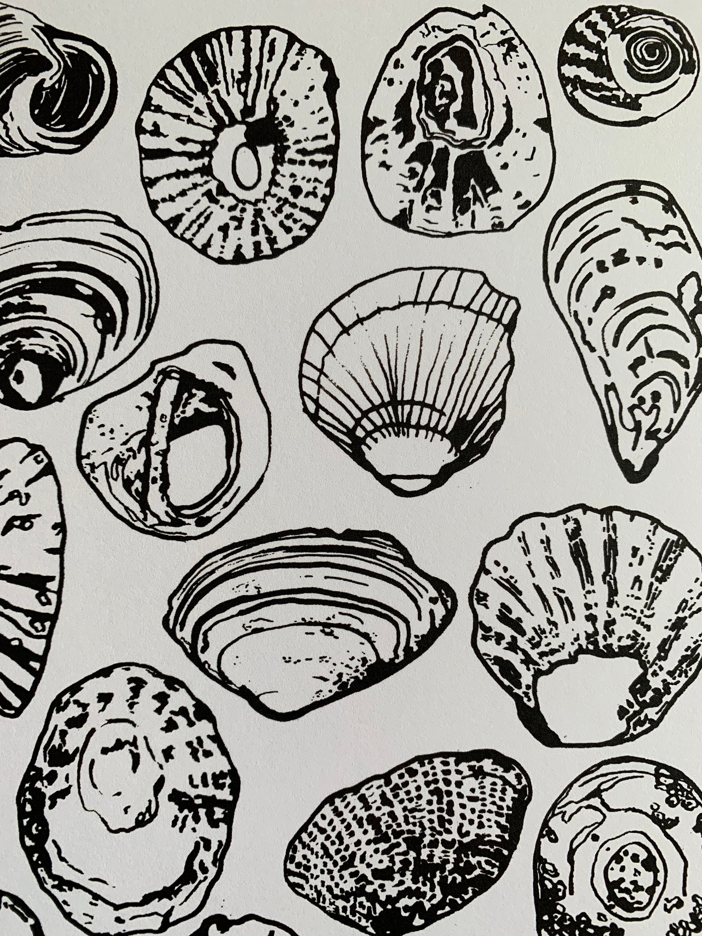 A5 Shell Pattern Print - Etsy