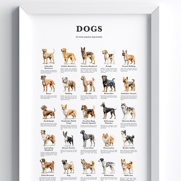 Dog Breeds Poster - Etsy