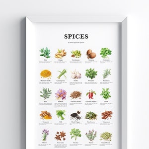 Popular Spices Kitchen Print, Botanical Infographic (downloadable) - Etsy