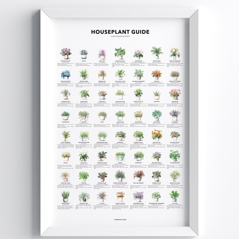 Plant Poster - Etsy