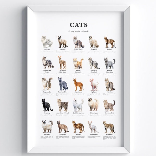 Cat Poster - Etsy