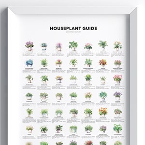 Houseplant Guide. 56 Most Popular Plants With Watering & Lightning ...
