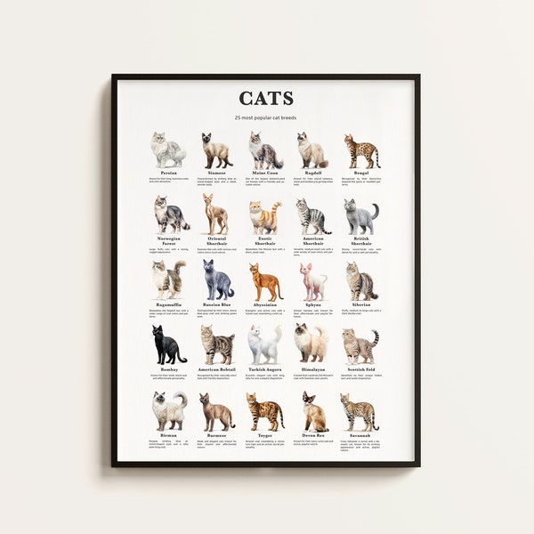 Cat Poster - Etsy