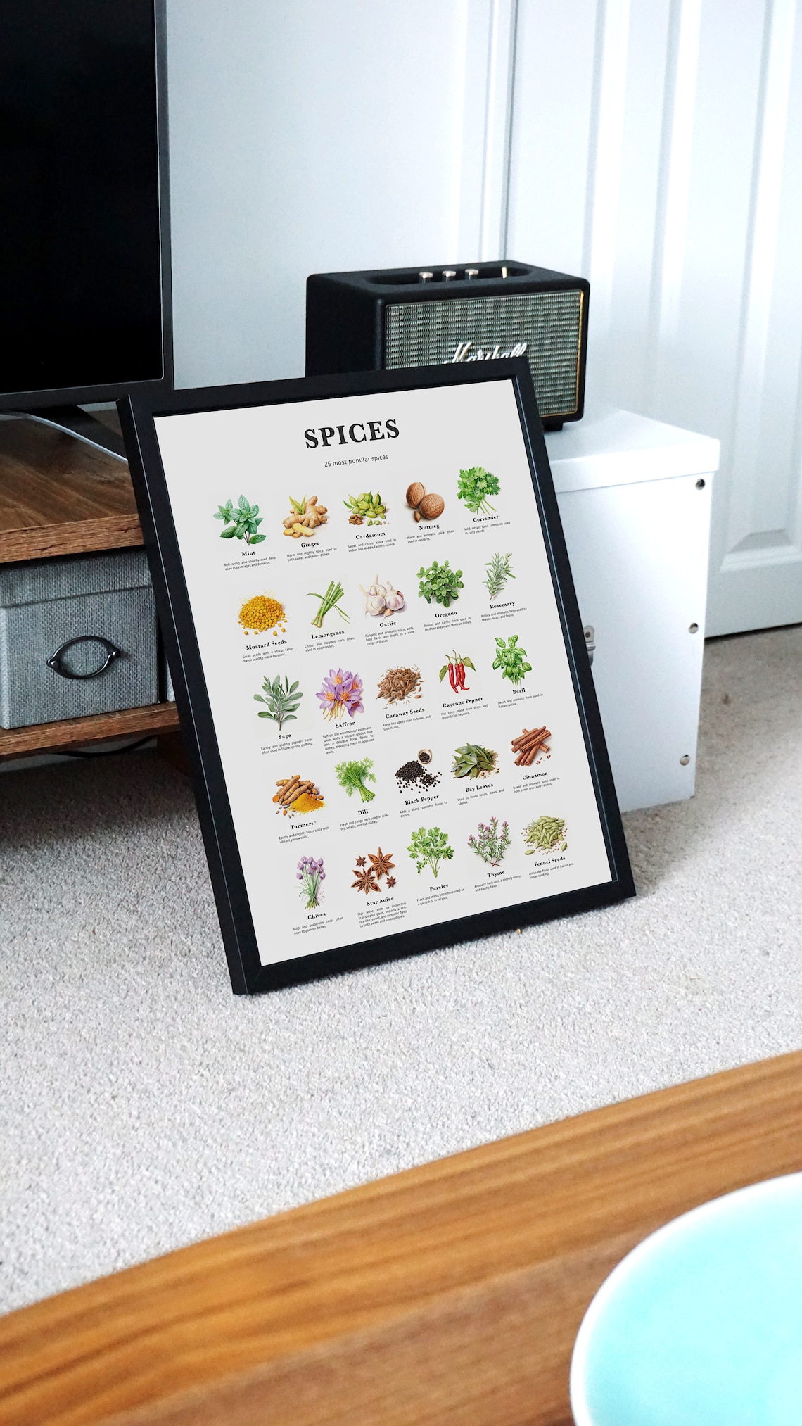 Popular Spices Kitchen Print, Botanical Infographic (downloadable) - Etsy