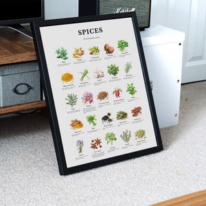 Popular Spices Kitchen Print, Botanical Infographic (downloadable) - Etsy