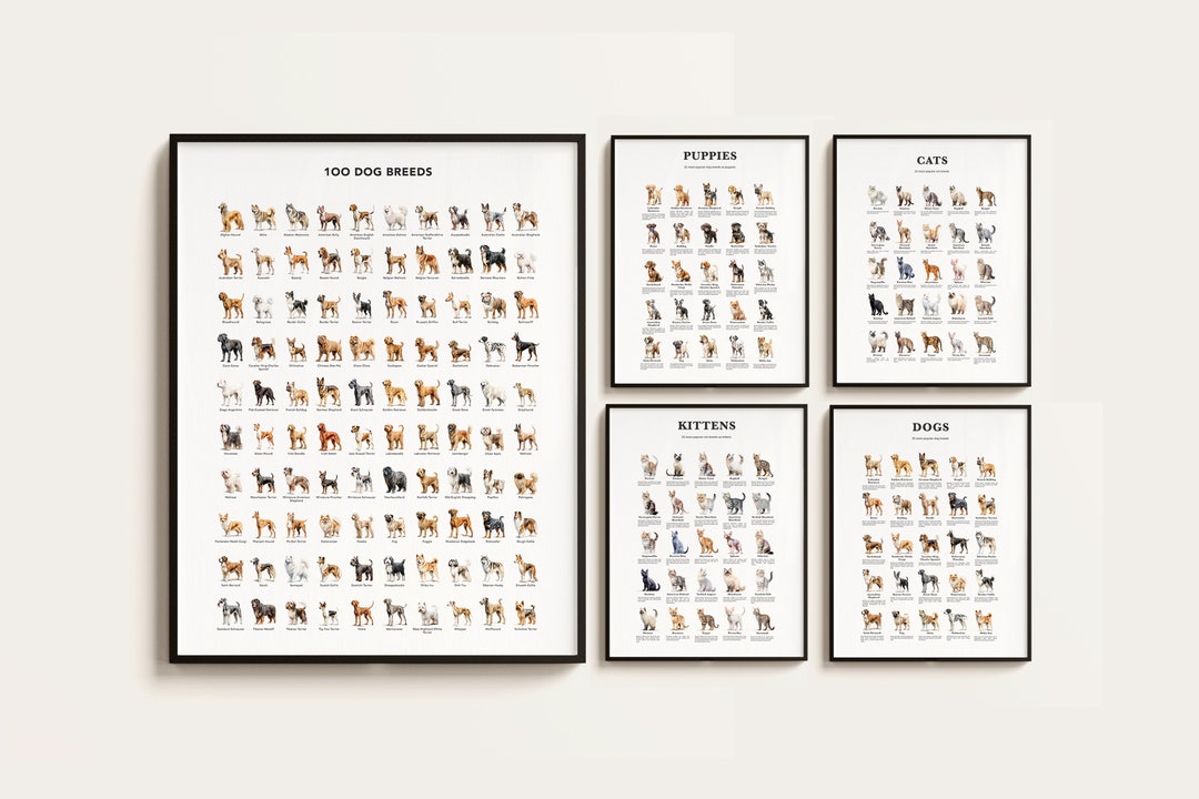 Cats & Dogs Poster Bundle. 100 Dog Breeds. Veterinarian Wall Decor. Dog ...