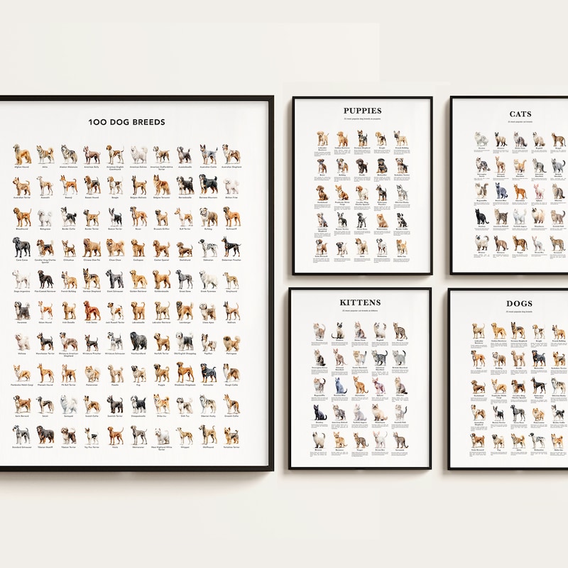 Dog Breeds Posters From Uk - Etsy Canada