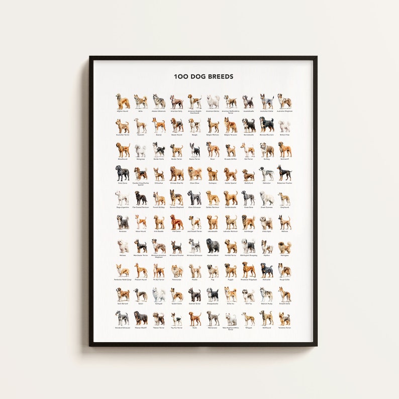Cats & Dogs Poster Bundle. 100 Dog Breeds. Veterinarian Wall Decor. Dog ...
