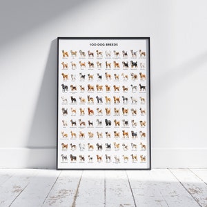 100 Dog Breeds Poster. Dog Lover Gift. Dog Breeds Infographics. Dog ...
