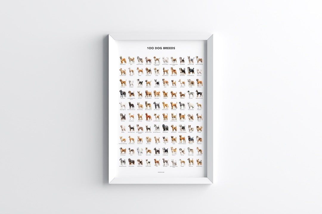 100 Dog Breeds Poster. Dog Lover Gift. Dog Breeds - Etsy