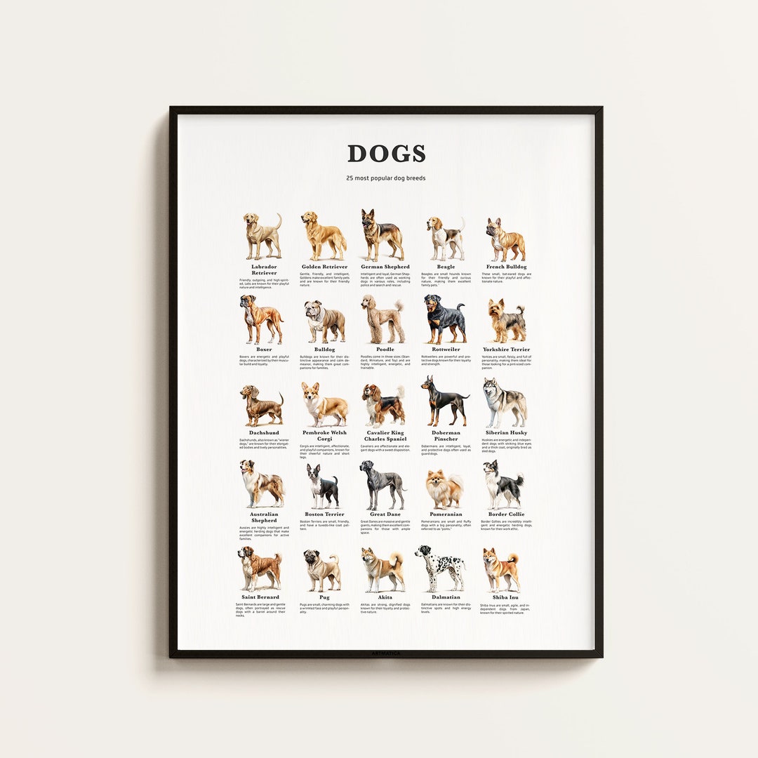 Dog Breed Chart Poster