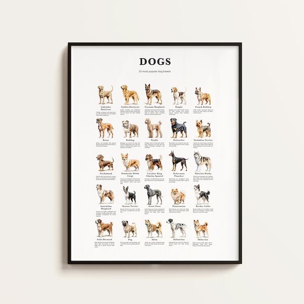 Dog Breeds Poster - Etsy