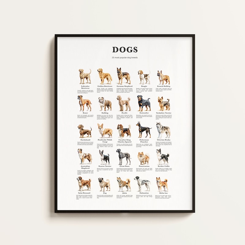 Dog Breeds Poster - Etsy