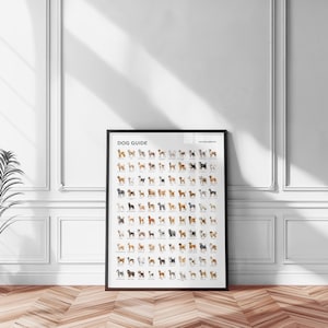 Dog Breeds Poster, 100 Dogs Infographic Art (downloadable) - Etsy