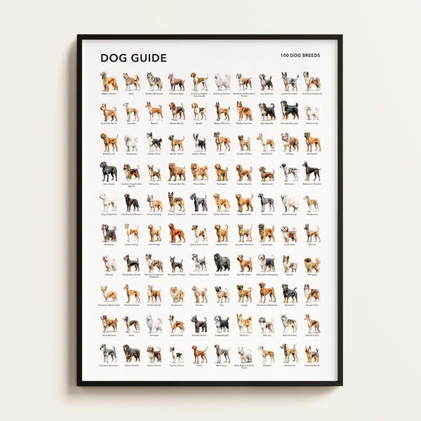 Dog Breeds Poster - Etsy