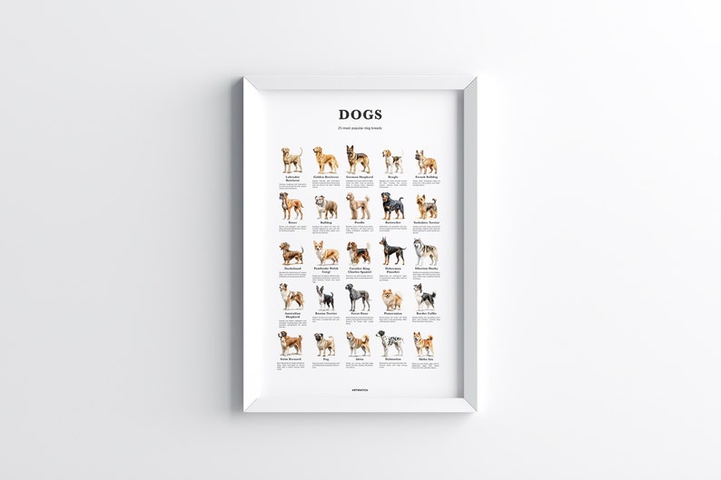 Dog Breeds Poster | Popular Dogs Infographic (downloadable) - Etsy