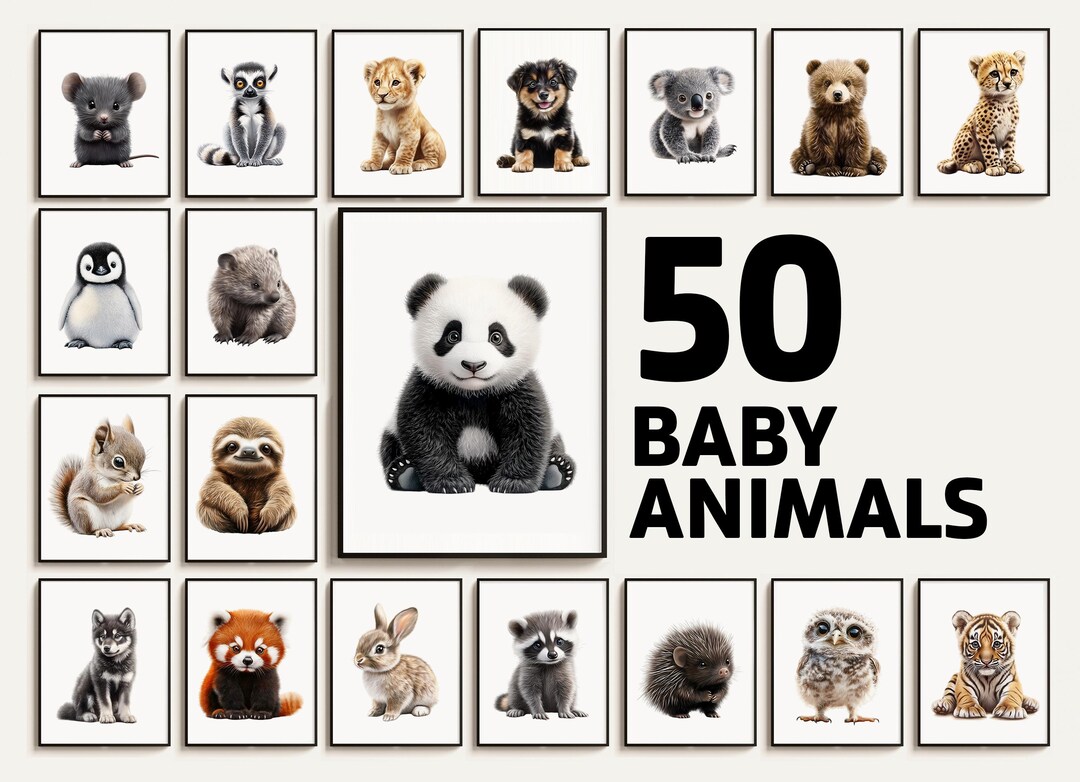 50 Baby Animals Posters Bundle. Nursery Decor. Kids Room, Baby's Gift ...