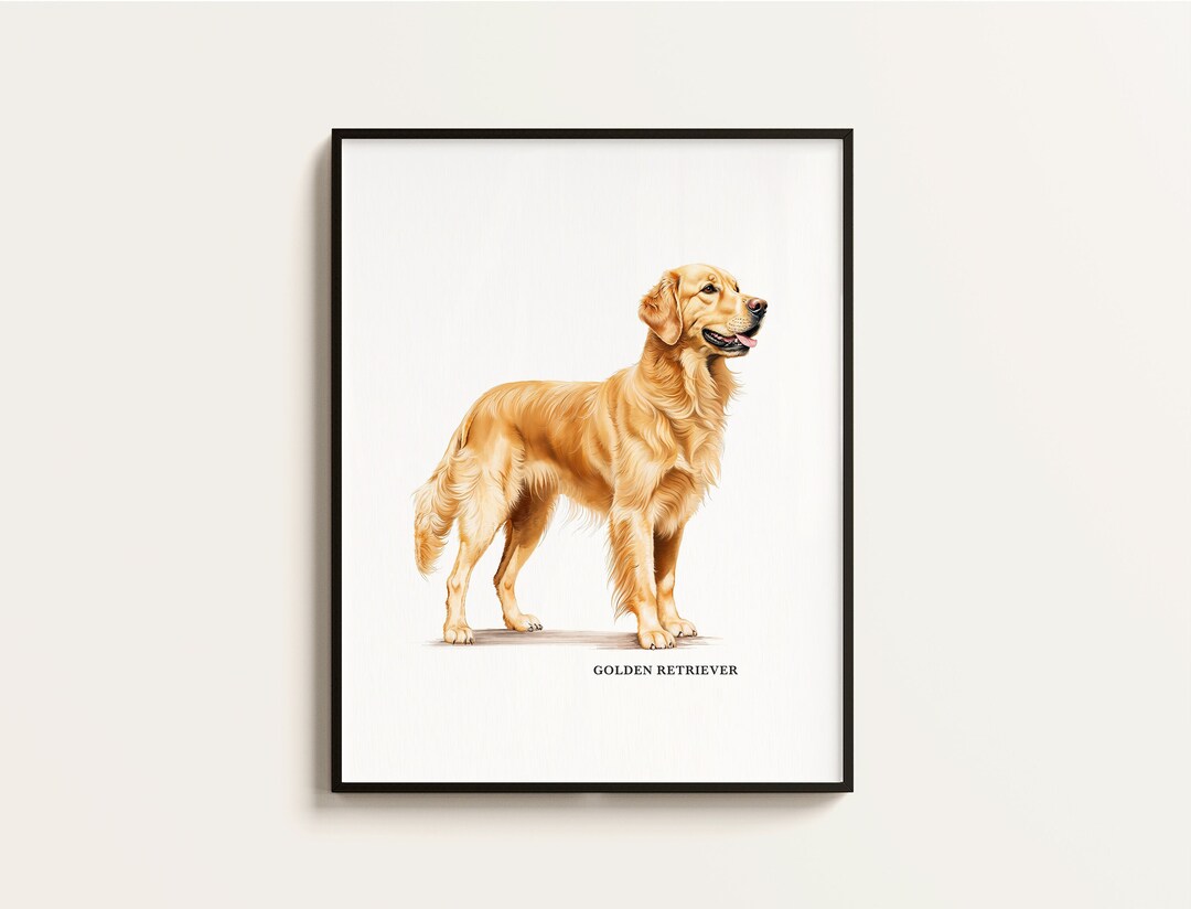 Golden Retriever Poster. Dog Poster. Golden Retriever Print Portrait. Golden Retriever Lover ...