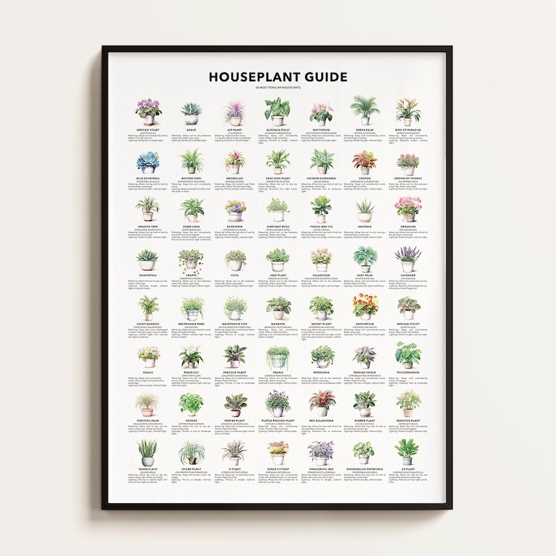 Plant Poster - Etsy
