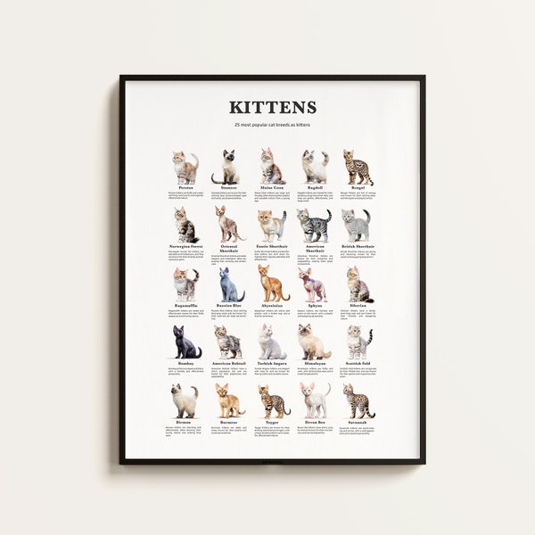 Cat Poster - Etsy