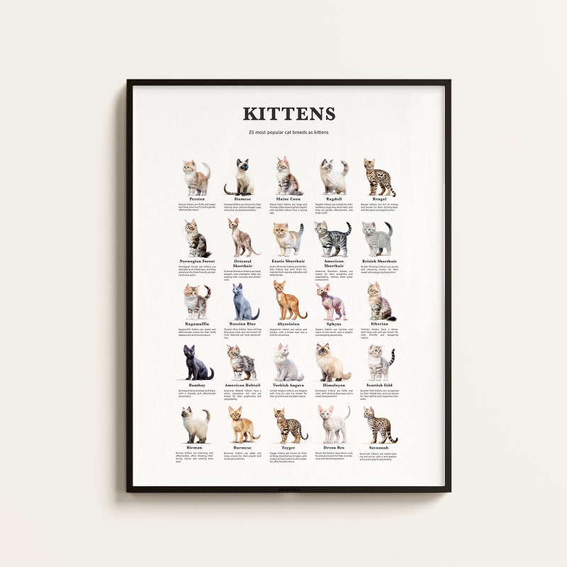 Cat Poster - Etsy