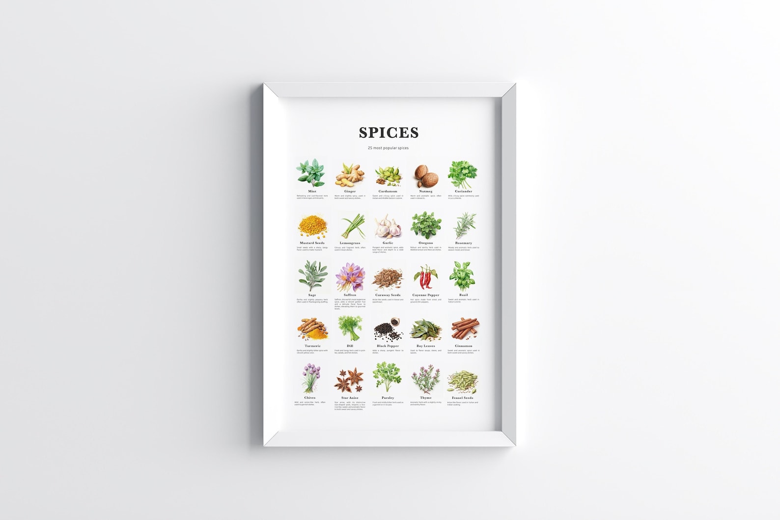 Popular Spices Kitchen Print, Botanical Infographic (downloadable) - Etsy