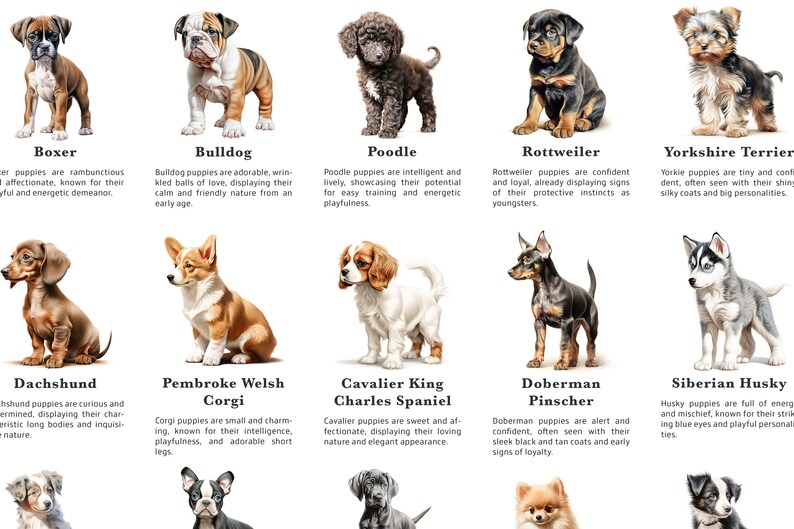 25 Most Popular Dog Breeds as Puppies Poster. Dog/puppy Lover Gift. Dog ...