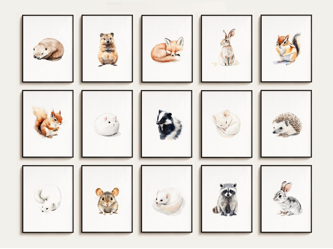 15 Forest Baby Animals Posters Bundle. Nursery Decor. Rustic Style ...