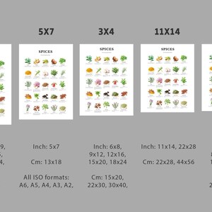 Popular Spices Kitchen Print, Botanical Infographic (downloadable) - Etsy
