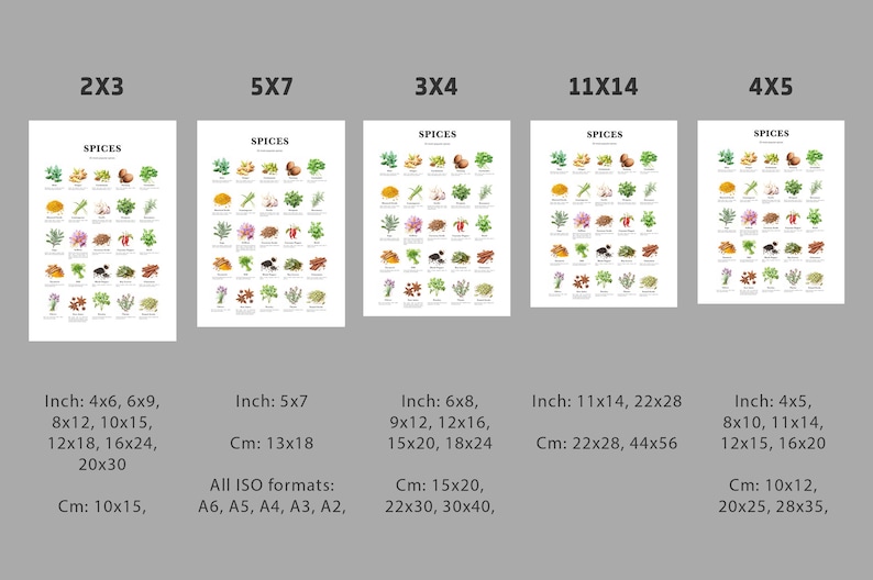 Popular Spices Kitchen Print, Botanical Infographic (downloadable) - Etsy