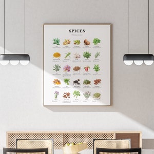 Popular Spices Kitchen Print, Botanical Infographic (downloadable) - Etsy