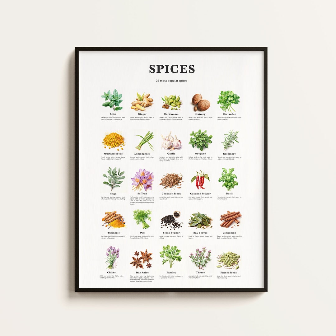 Popular Spices Kitchen Print, Botanical Infographic (downloadable) - Etsy