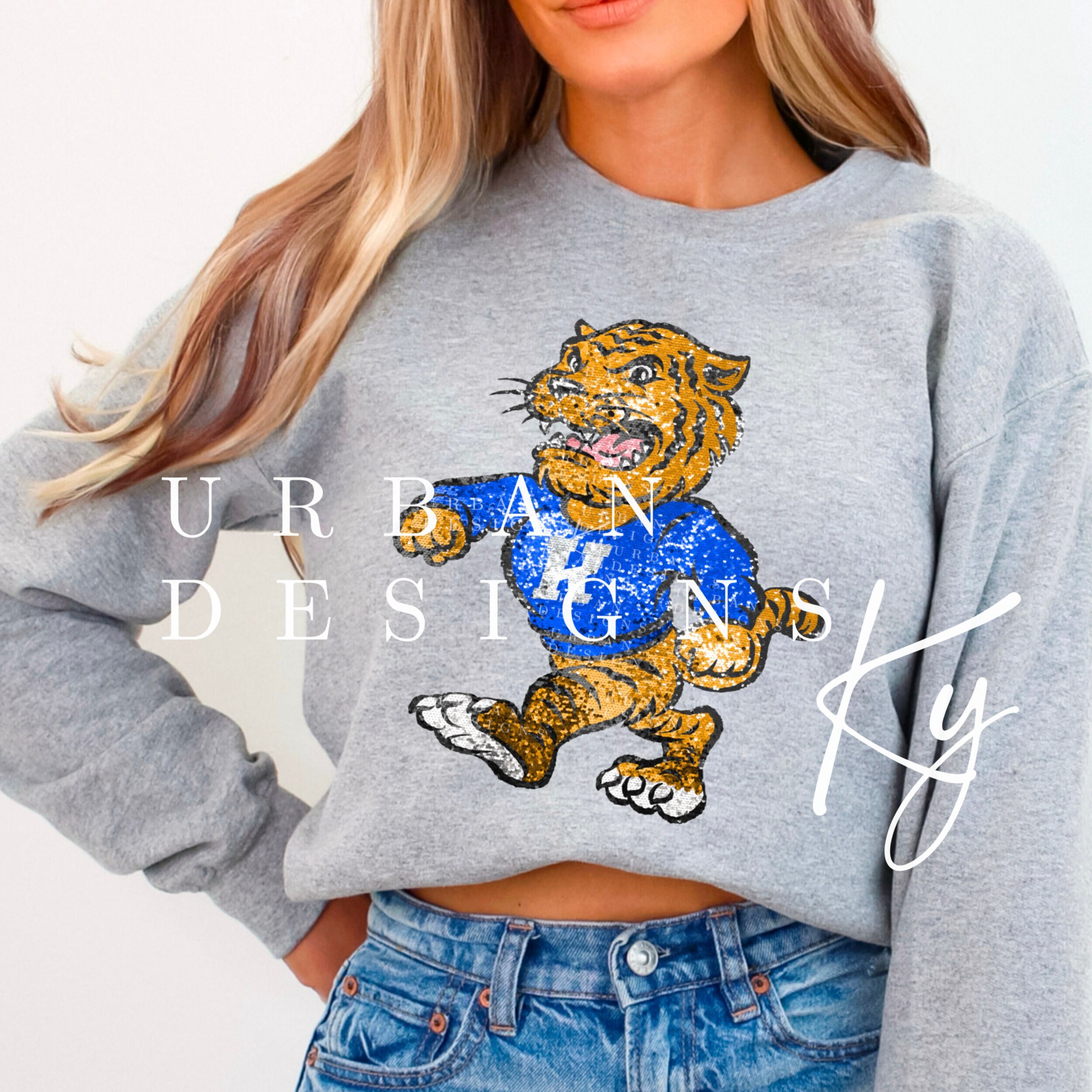 Vintage Wildcats Mascot Faux Sequins Kentucky High Resolution PNG Realistic Texture Glitter ...