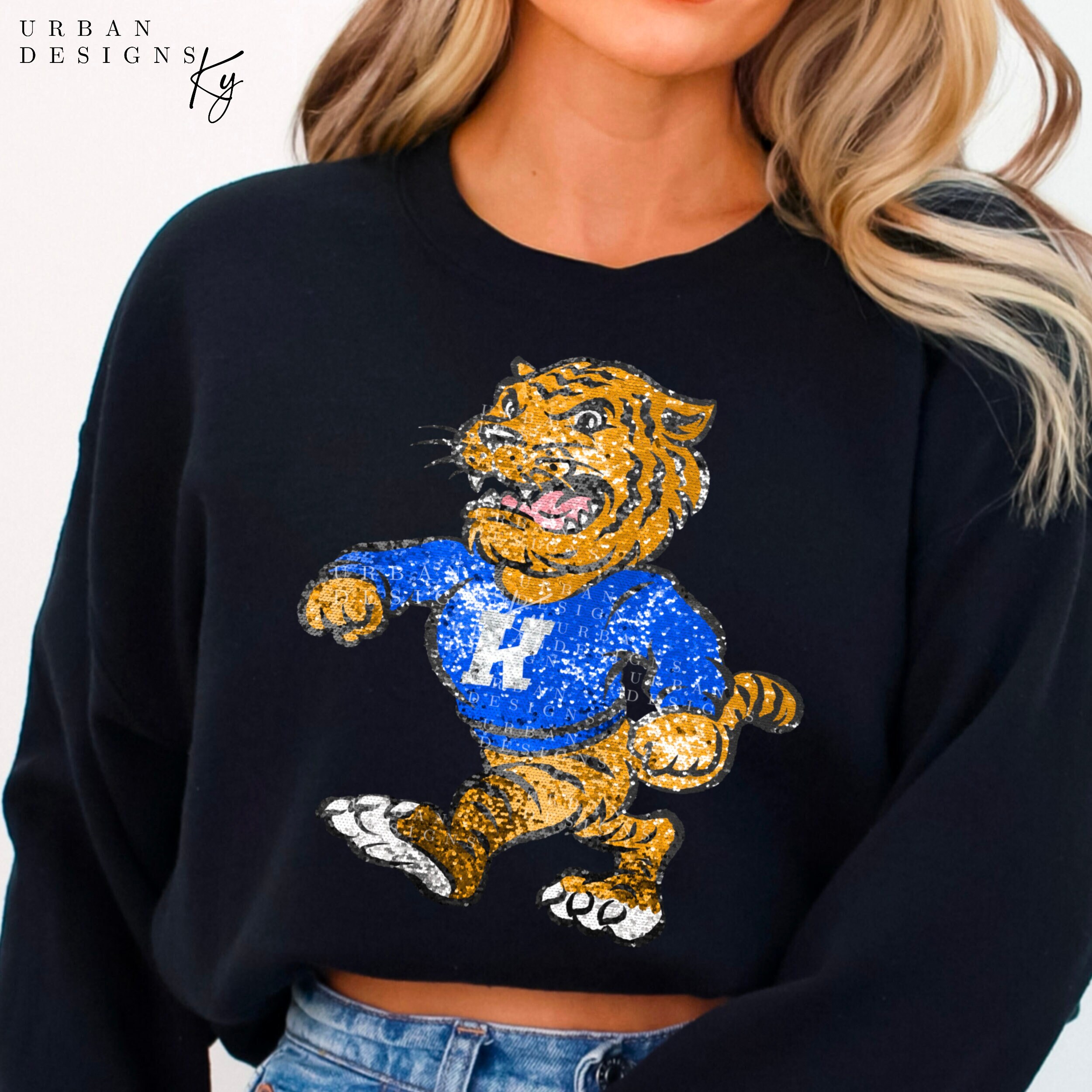 Vintage Wildcats Mascot Faux Sequins Kentucky High Resolution PNG Realistic Texture Glitter ...