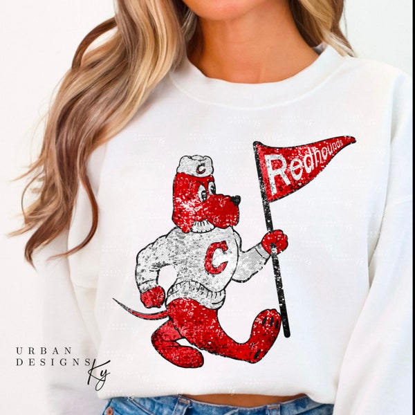 Florida Realistic Faux Embroidery Glitter Sequins, Faux Patch Sport Athletic PNG,DTF Digital ...