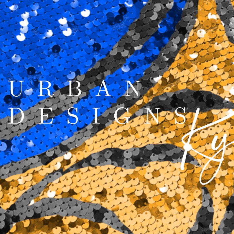 Vintage Wildcats Mascot Faux Sequins Kentucky High Resolution PNG Realistic Texture Glitter ...