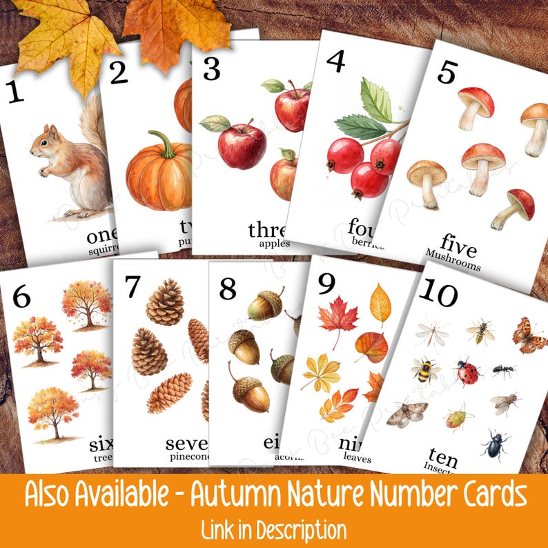 Autumn Count and Clip Cards, Fall Nature Counting Activity for Toddlers ...