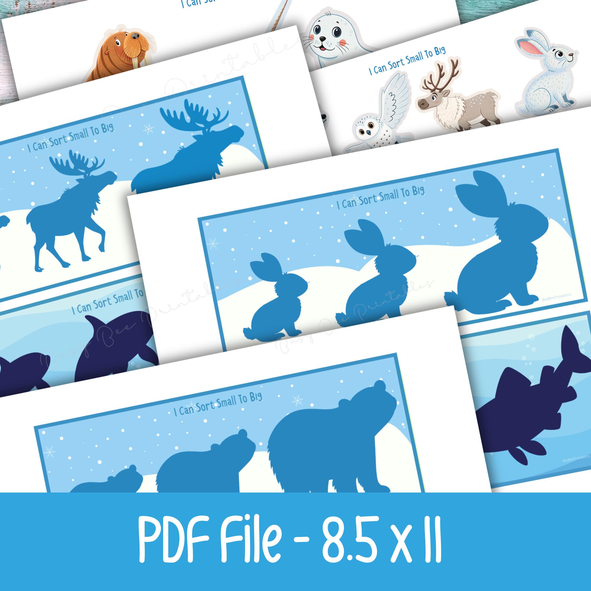 Arctic Animal Small to Big Size Sorting Activity, Winter Preschool Math ...