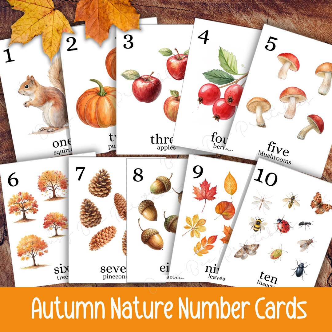 Autumn Nature Number Cards, Fall Preschool Activity Printable, Autumn ...