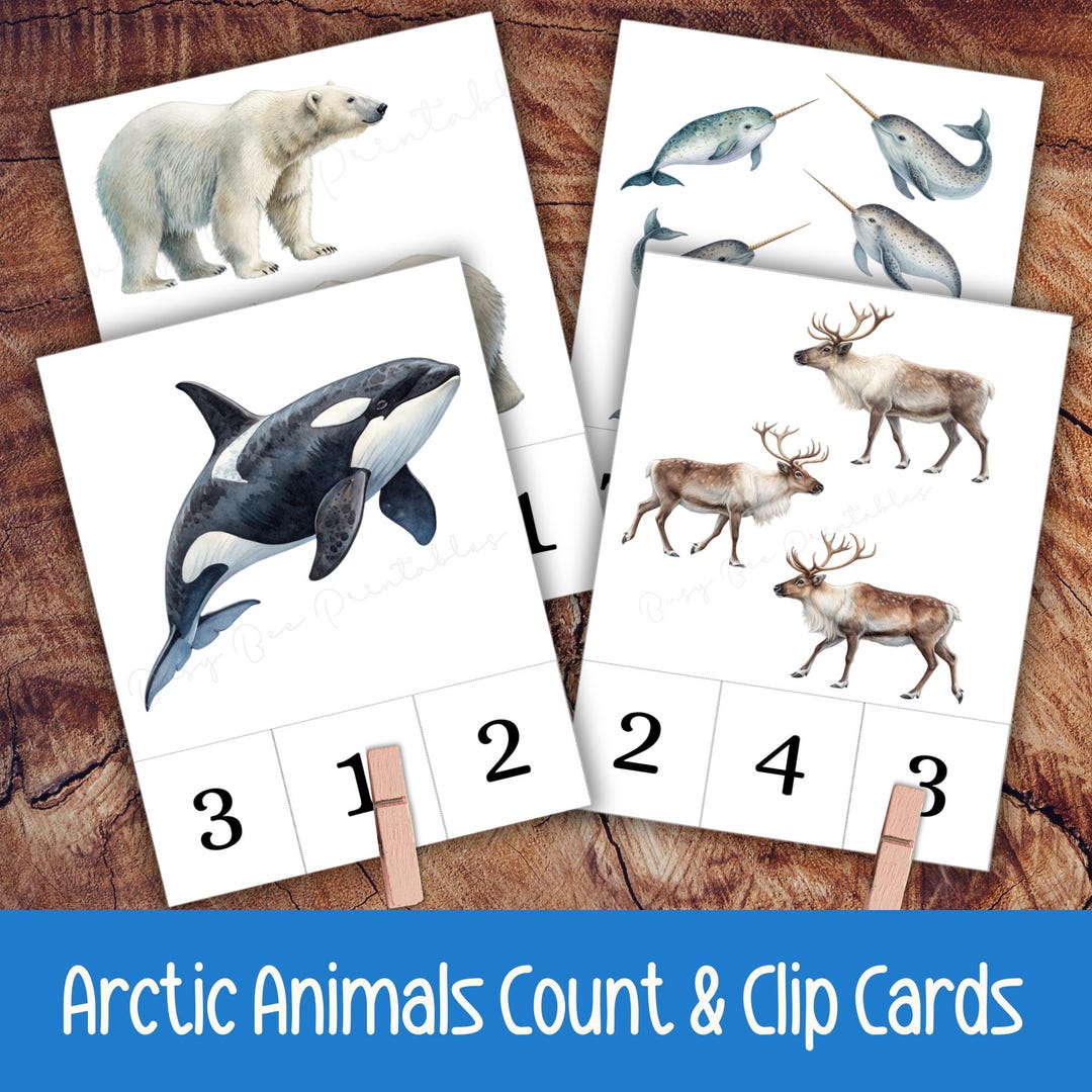 Arctic Animal Count and Clip Cards, Winter Nature Counting Activity for ...
