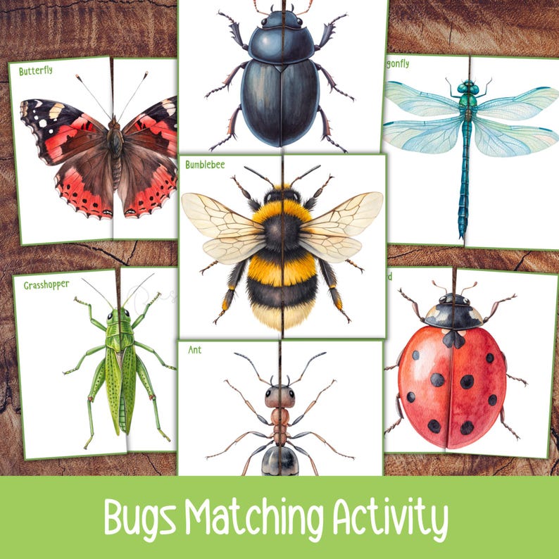 Insects Matching Activity, Bugs Matching Game, Spring Preschool ...
