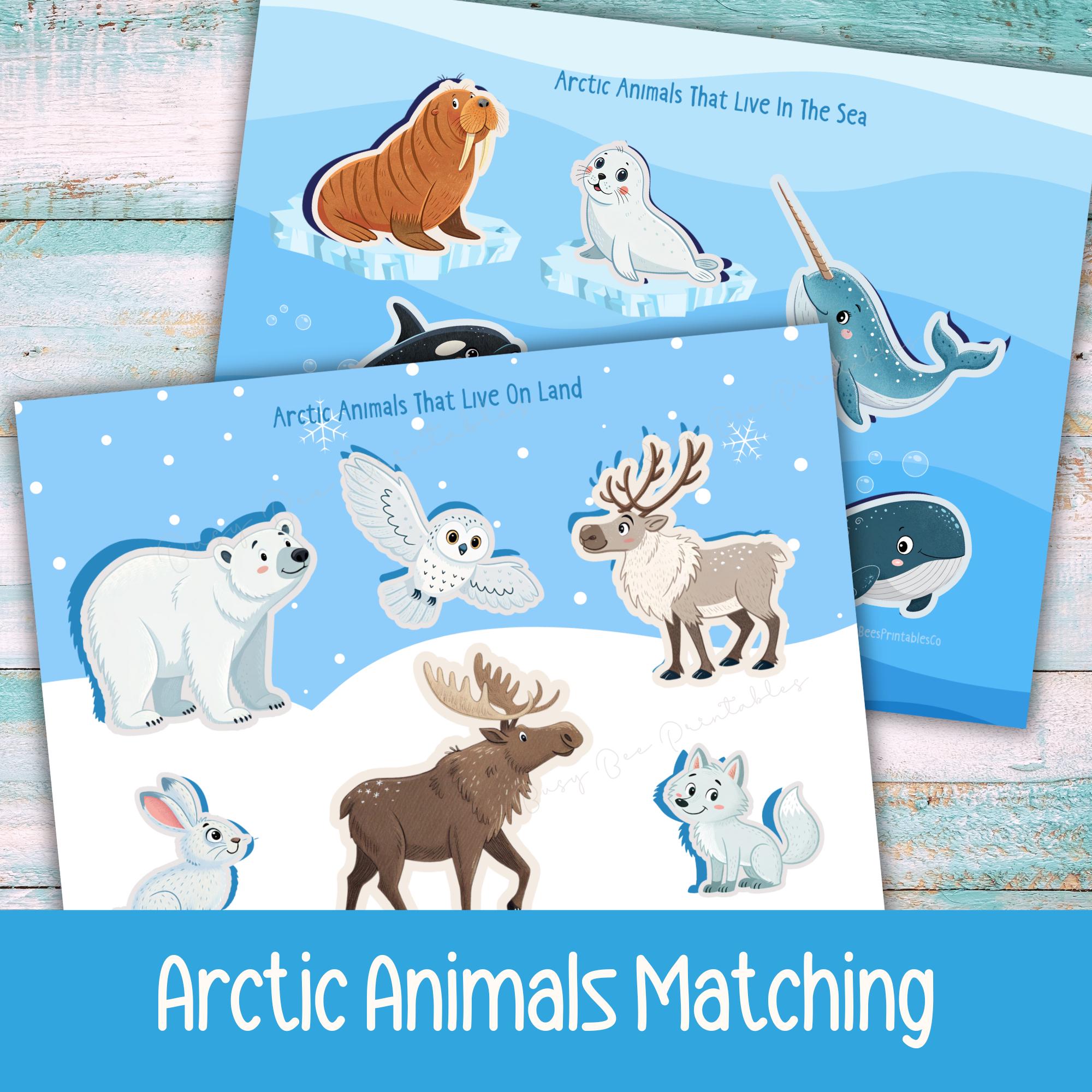 Arctic Animal Matching Game, Shadow Matching Activity, Winter Preschool ...