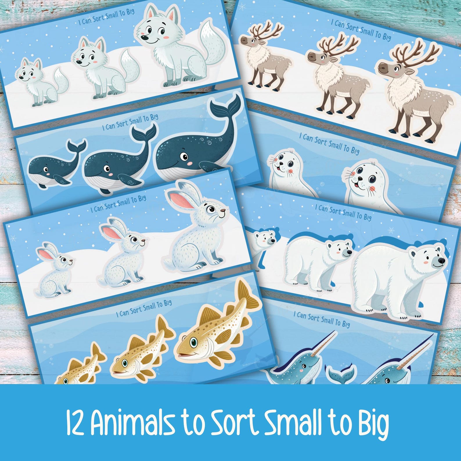Arctic Animal Small to Big Size Sorting Activity, Winter Preschool Math ...