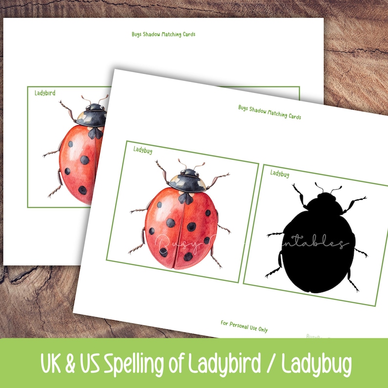 Bug Shadow Matching Cards, Montessori Printable Toddler Activity ...