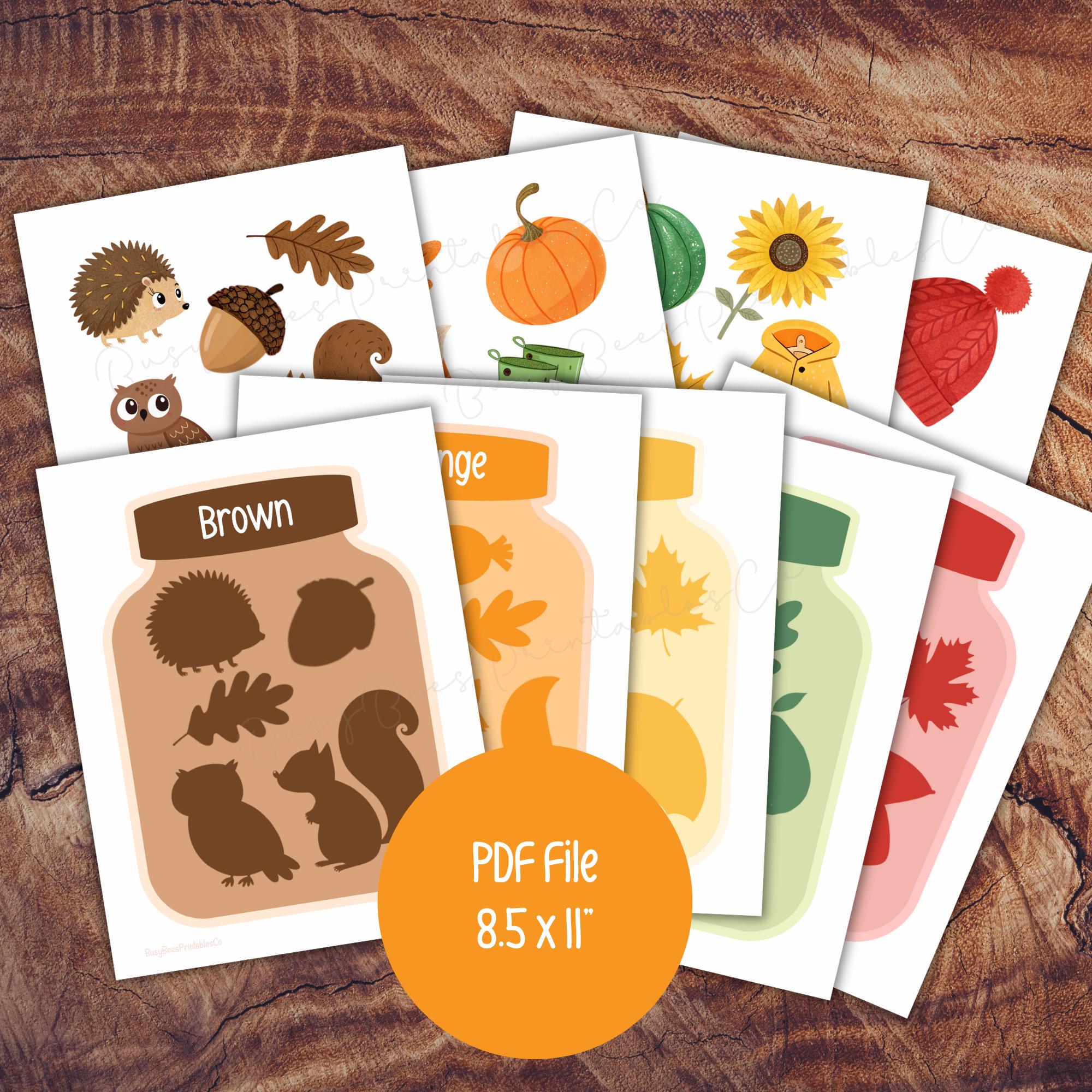 Autumn Colour Matching Game for Kids, Fall Color Sorting Jars Activity ...
