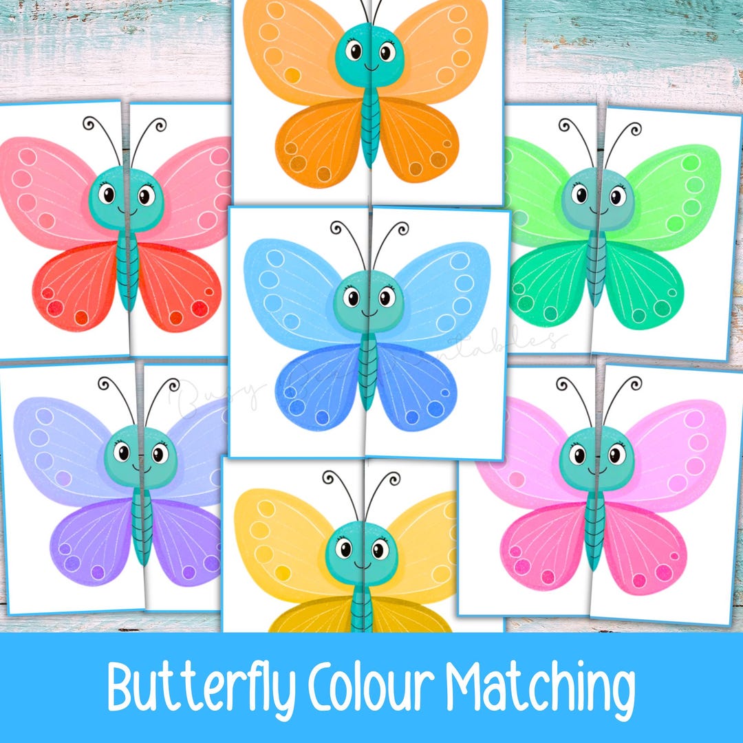 Butterfly Color Matching Activity, Matching Game for Preschool ...