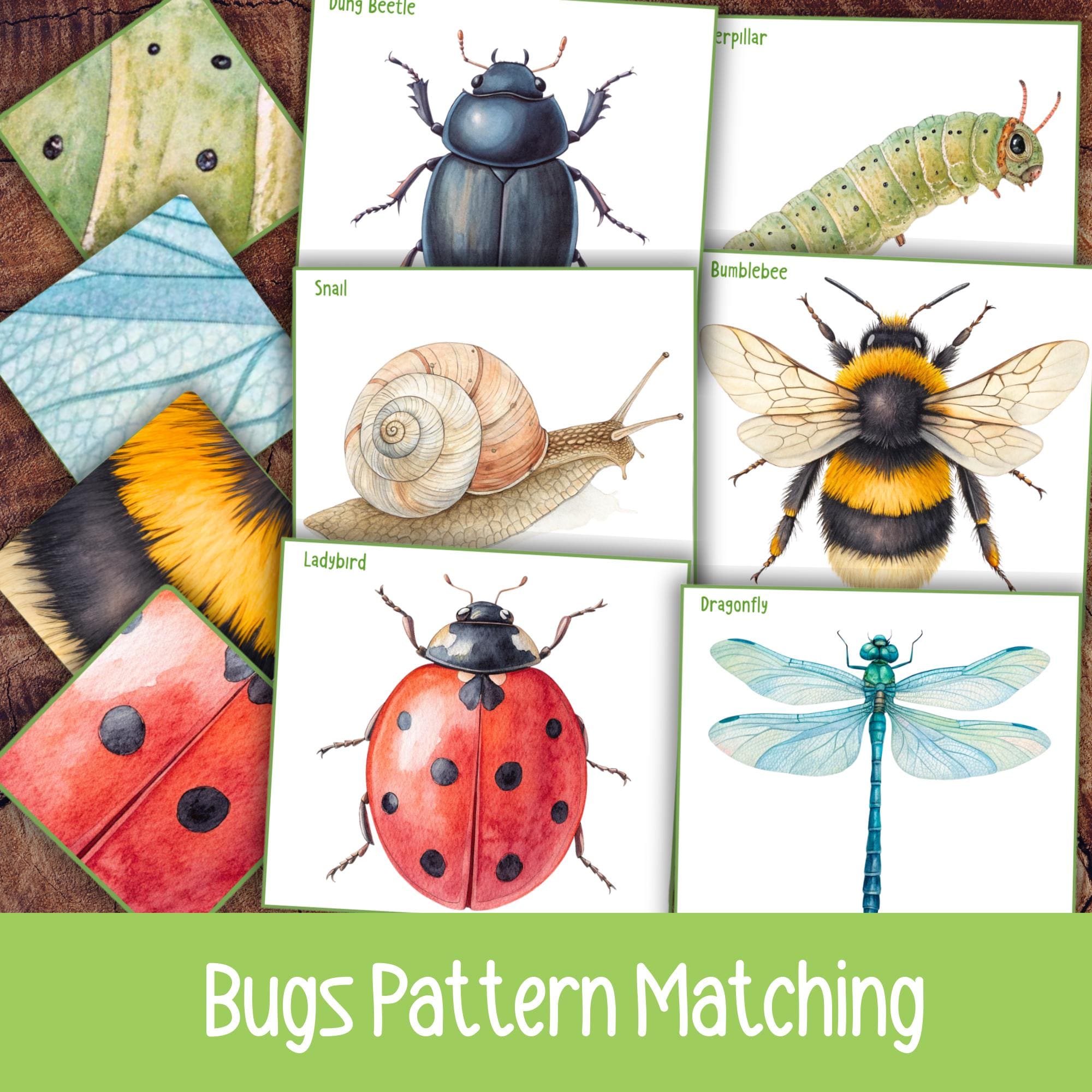 Insects Matching Activity for Kids, Bugs Pattern Matching Game, Spring ...