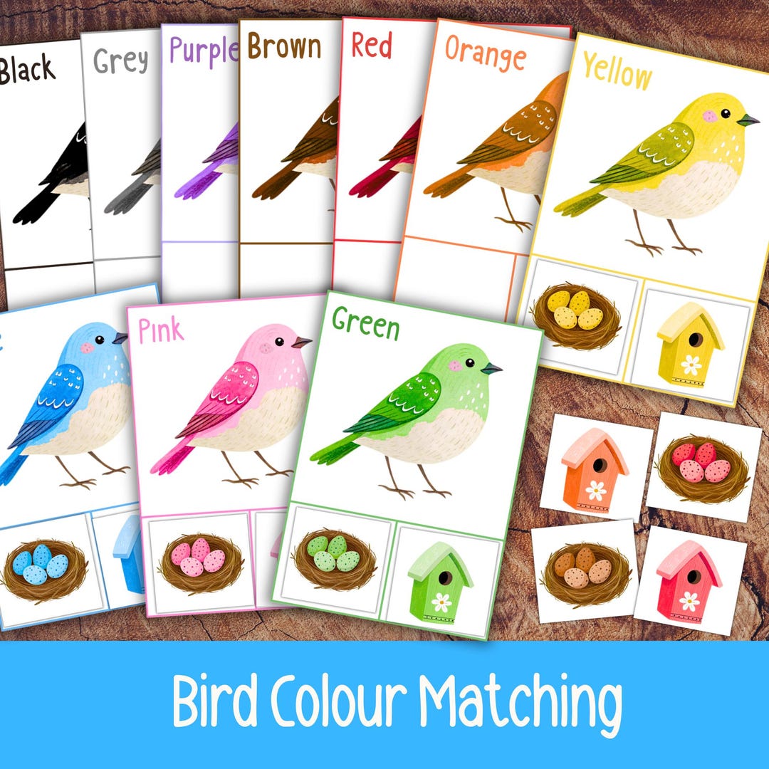 Spring Colour Matching Game for Kids, Bird Color Sorting, Preschool ...