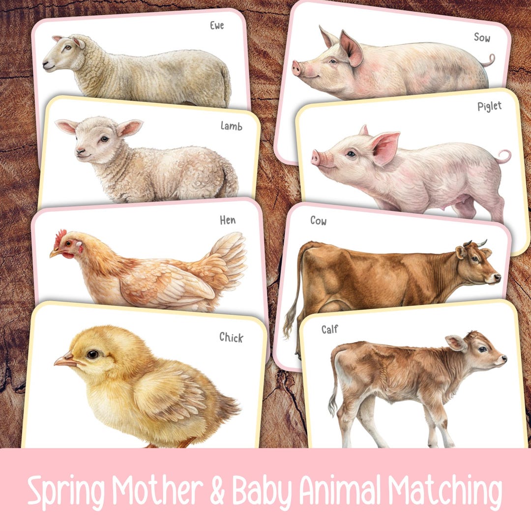 Mother & Baby Animal Matching Cards for Preschool, Montessori Printable ...