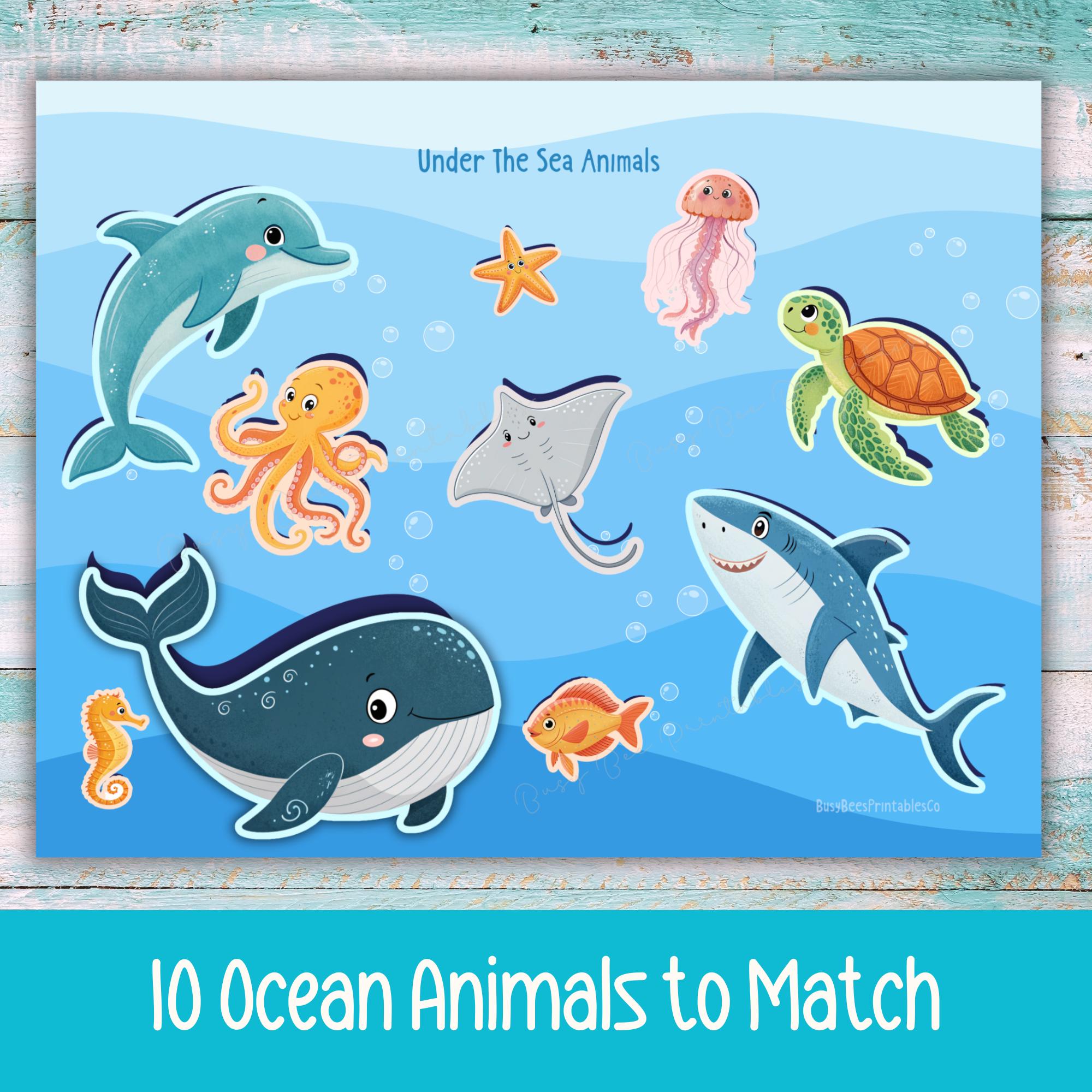 Ocean Animals Matching Game, Under the Sea Activity for Toddlers ...